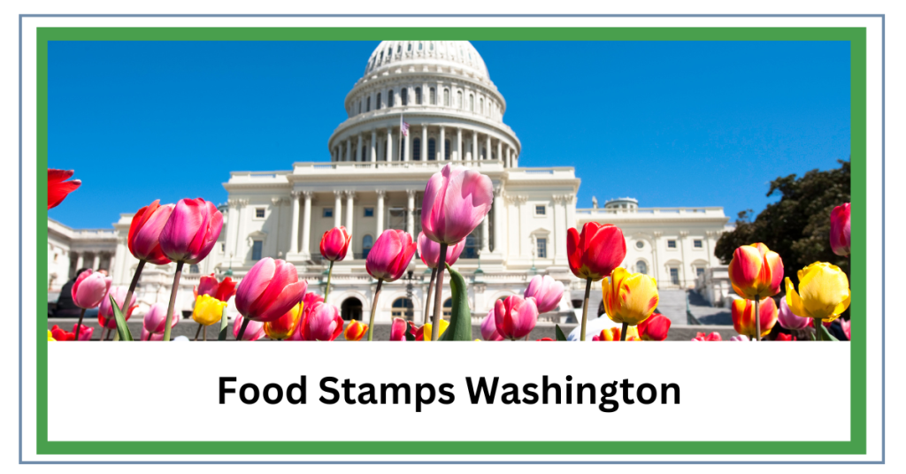 Food Stamps Washington: Your Guide To EBT and SNAP