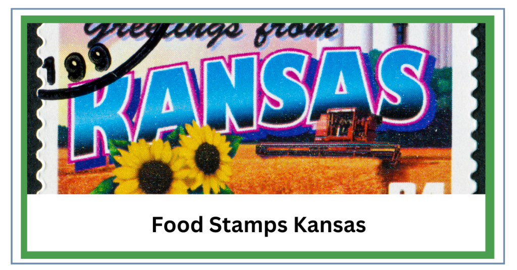 Food Stamps Kansas: Your Guide To EBT and SNAP