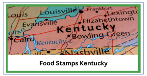 Food Stamps Kentucky: Your Guide To EBT and SNAP