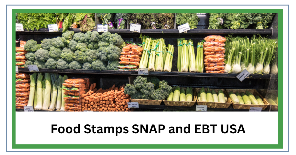 Food Stamps SNAP and EBT USA: Navigating Benefits and Eligibility